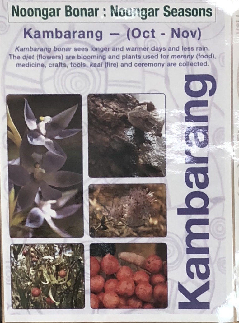 Individual Season Posters (A3) :: Noongar Boodjar Language Cultural ...