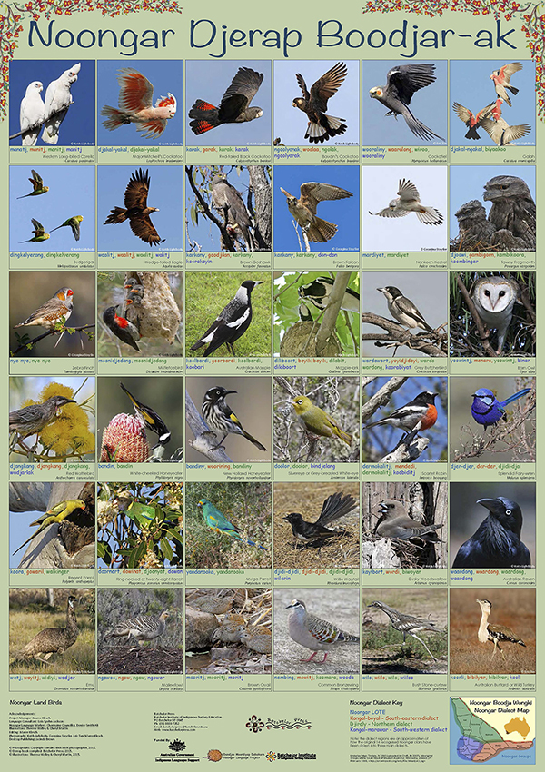 Posters :: Noongar Boodjar Language Cultural Aboriginal Corporation