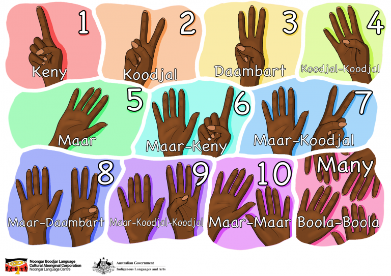 Counting :: Noongar Boodjar Language Cultural Aboriginal Corporation
